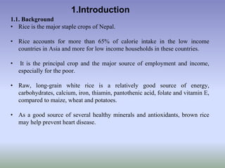 Presentation of Proposal for Rice trial | PPTX