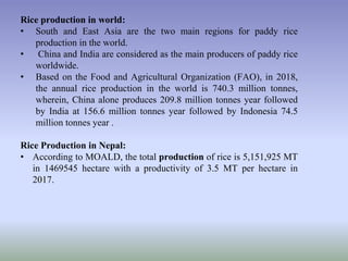 Presentation of Proposal for Rice trial | PPTX