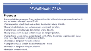Sri aminingsih puskesmas todanan kelas e_m3_pewarnaan gram | PDF