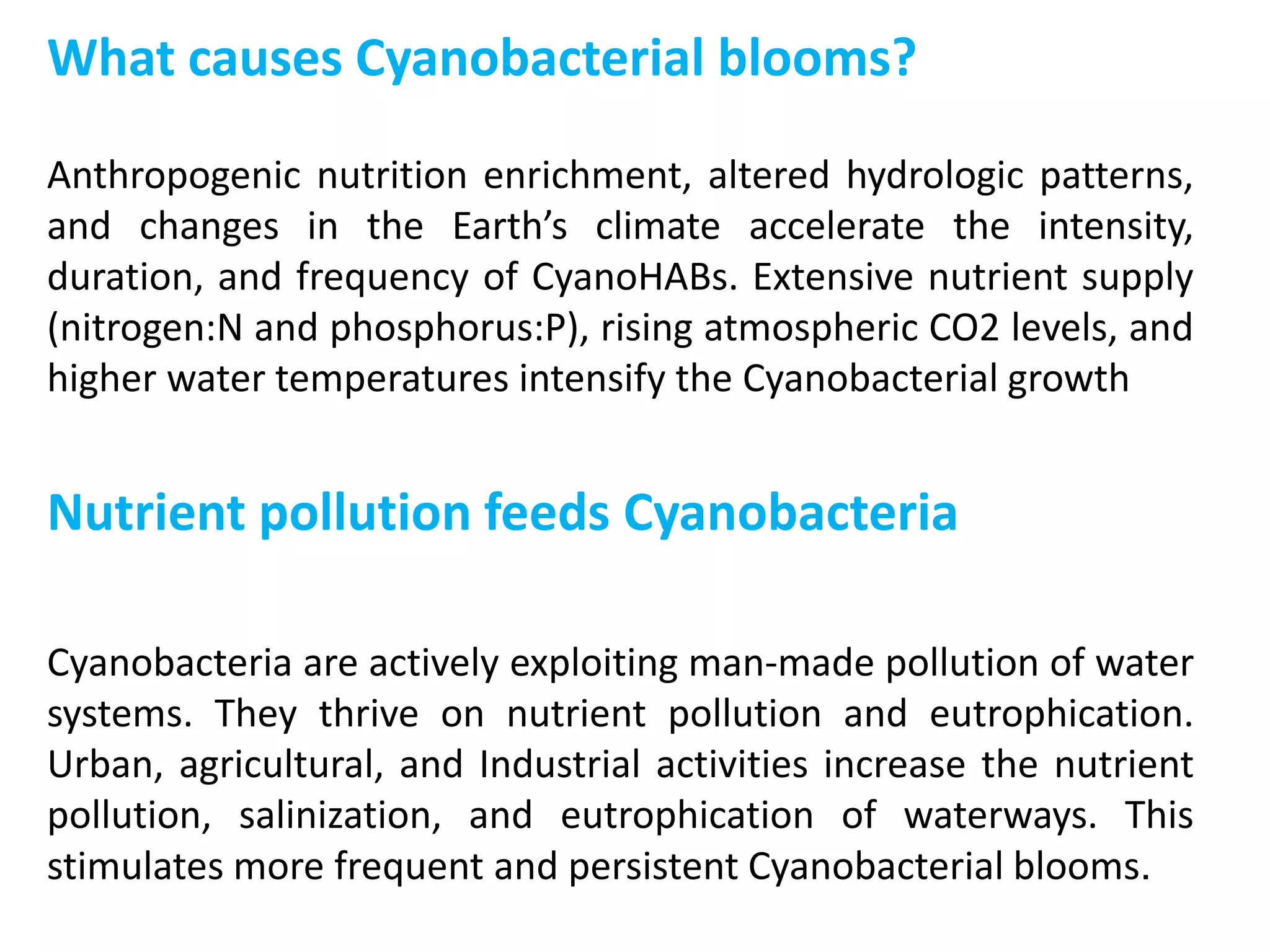 Cyanobacteria | PPTX