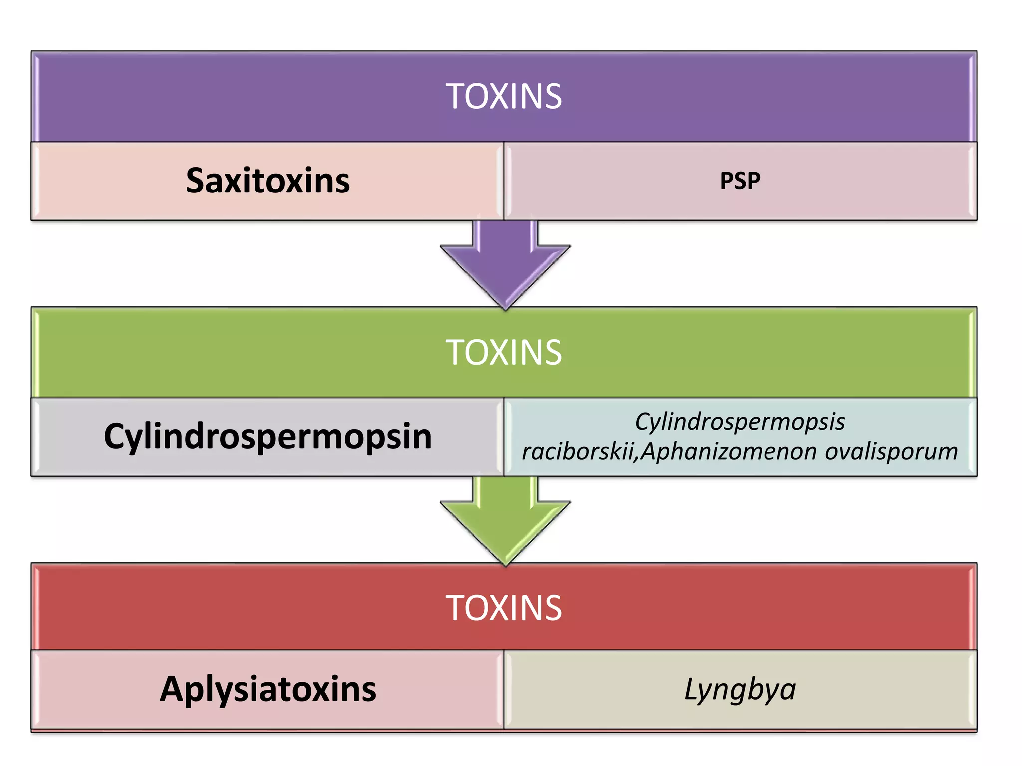 Cyanobacteria | PPTX