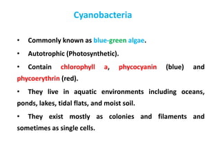 Cyanobacteria | PPTX