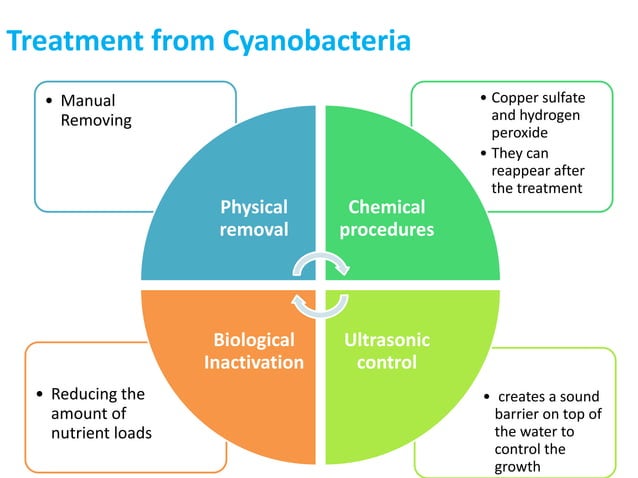 Cyanobacteria | PPTX | Biological Sciences | Science