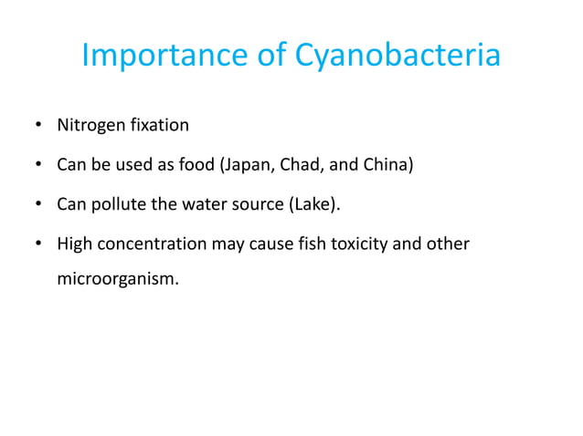 Cyanobacteria | PPTX | Biological Sciences | Science