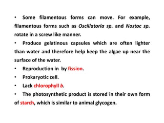 Cyanobacteria | PPTX