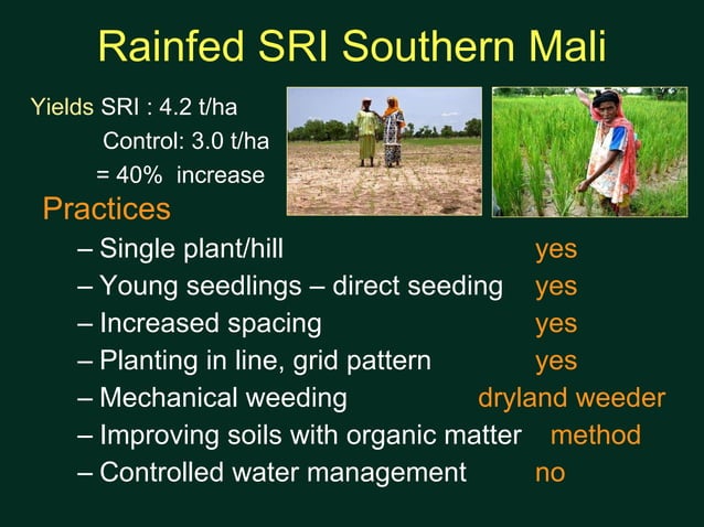 1170 System of Rice Intensification SRI - A Global Overview | PPT