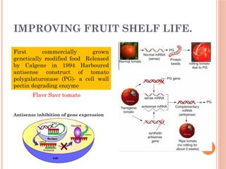 Sridharan S Transgenic plants_traits for improved quality.pptx