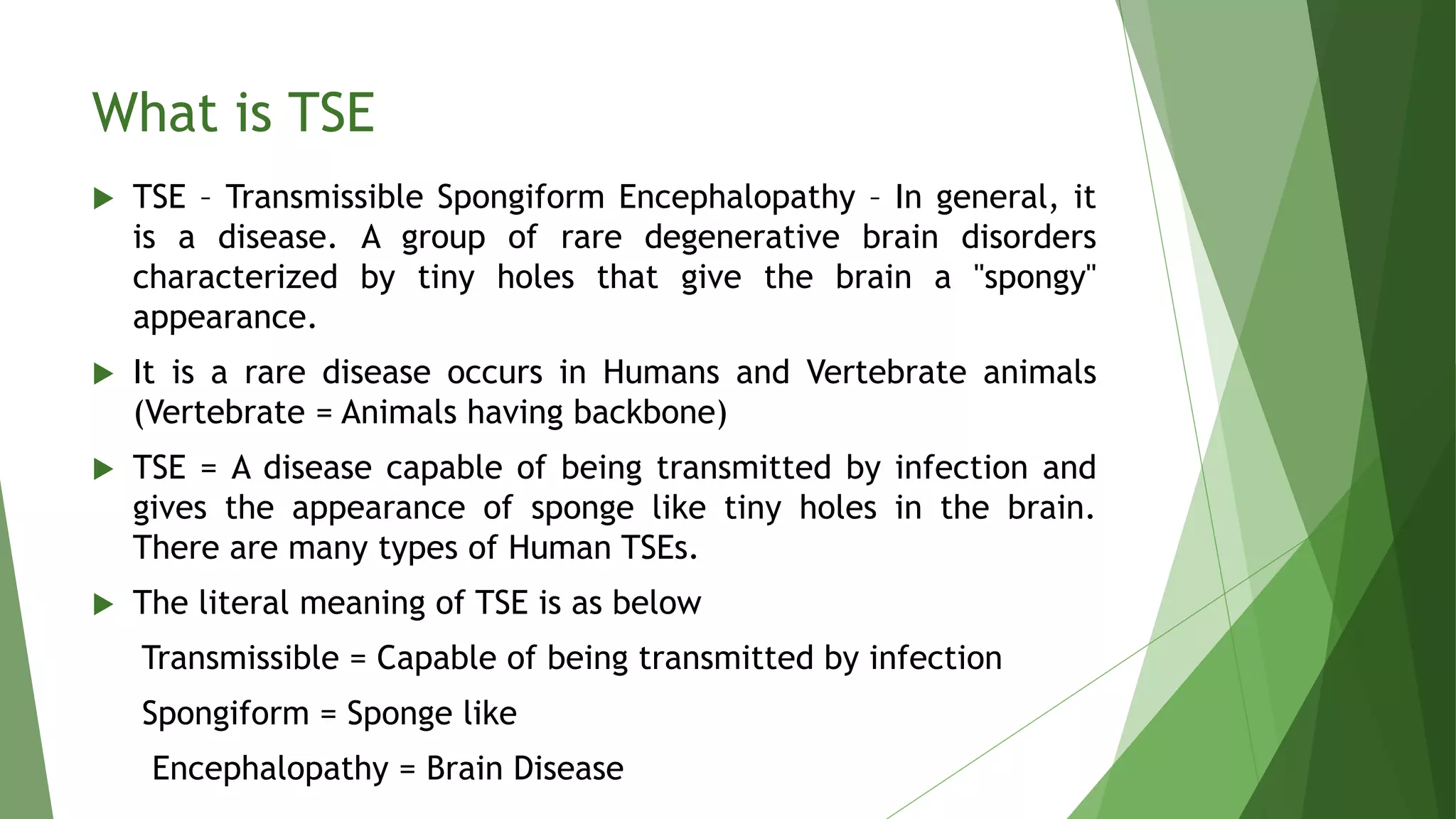 TSE/BSE Evaluation | PPTX