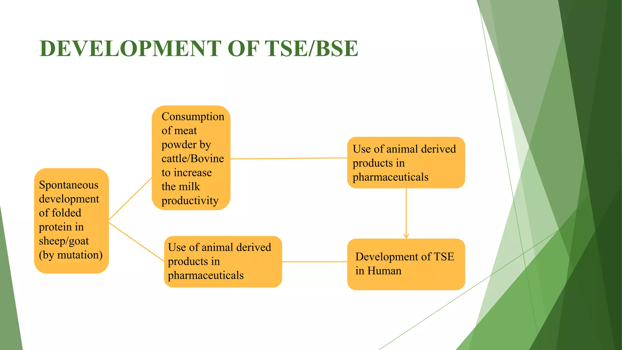 TSE/BSE Evaluation | PPTX
