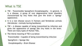 TSE/BSE Evaluation | PPTX