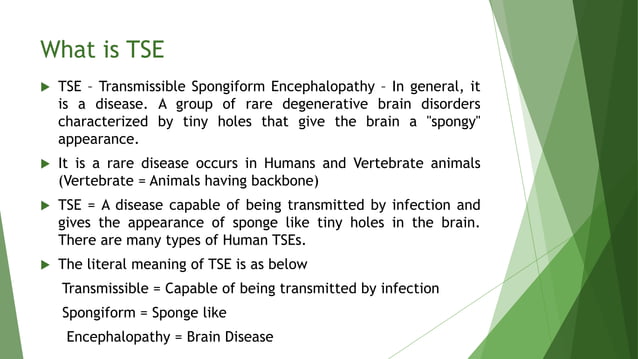 TSE/BSE Evaluation | PPTX | Infectious Diseases | Diseases and Conditions