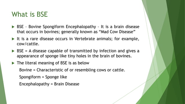 TSE/BSE Evaluation | PPTX | Infectious Diseases | Diseases and Conditions