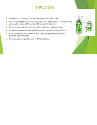 Viral diseases for Tobacco Mosaic Virus (TMV) | PDF