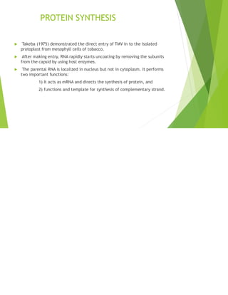 Viral diseases Tobacco Mosaic Virus (TMV) | PDF