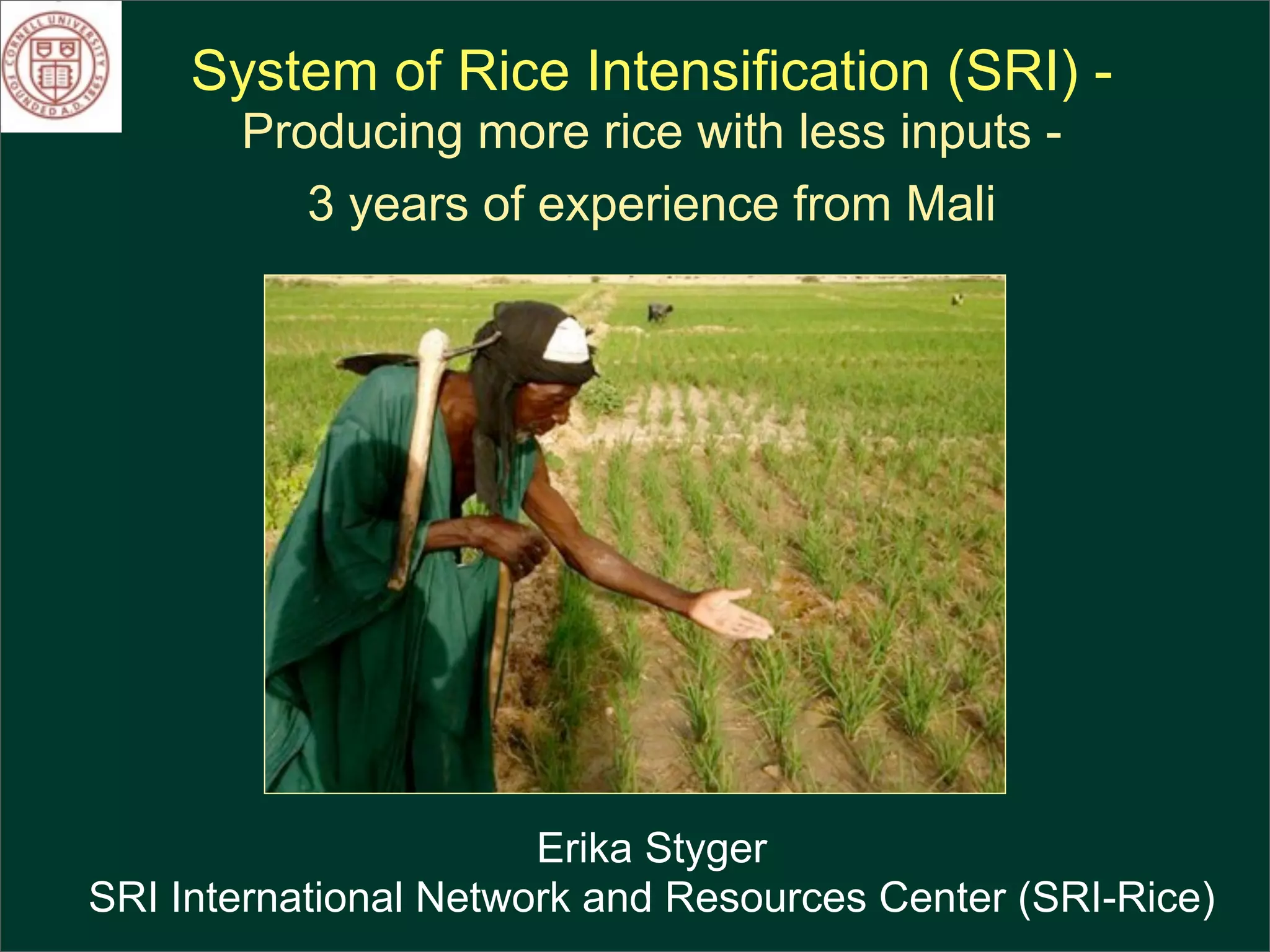 1042 System of Rice Intensification (SRI) -Producing more rice with less inputs 3 years of ...