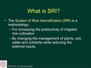 1042 System of Rice Intensification (SRI) -Producing more rice with less inputs 3 years of ...