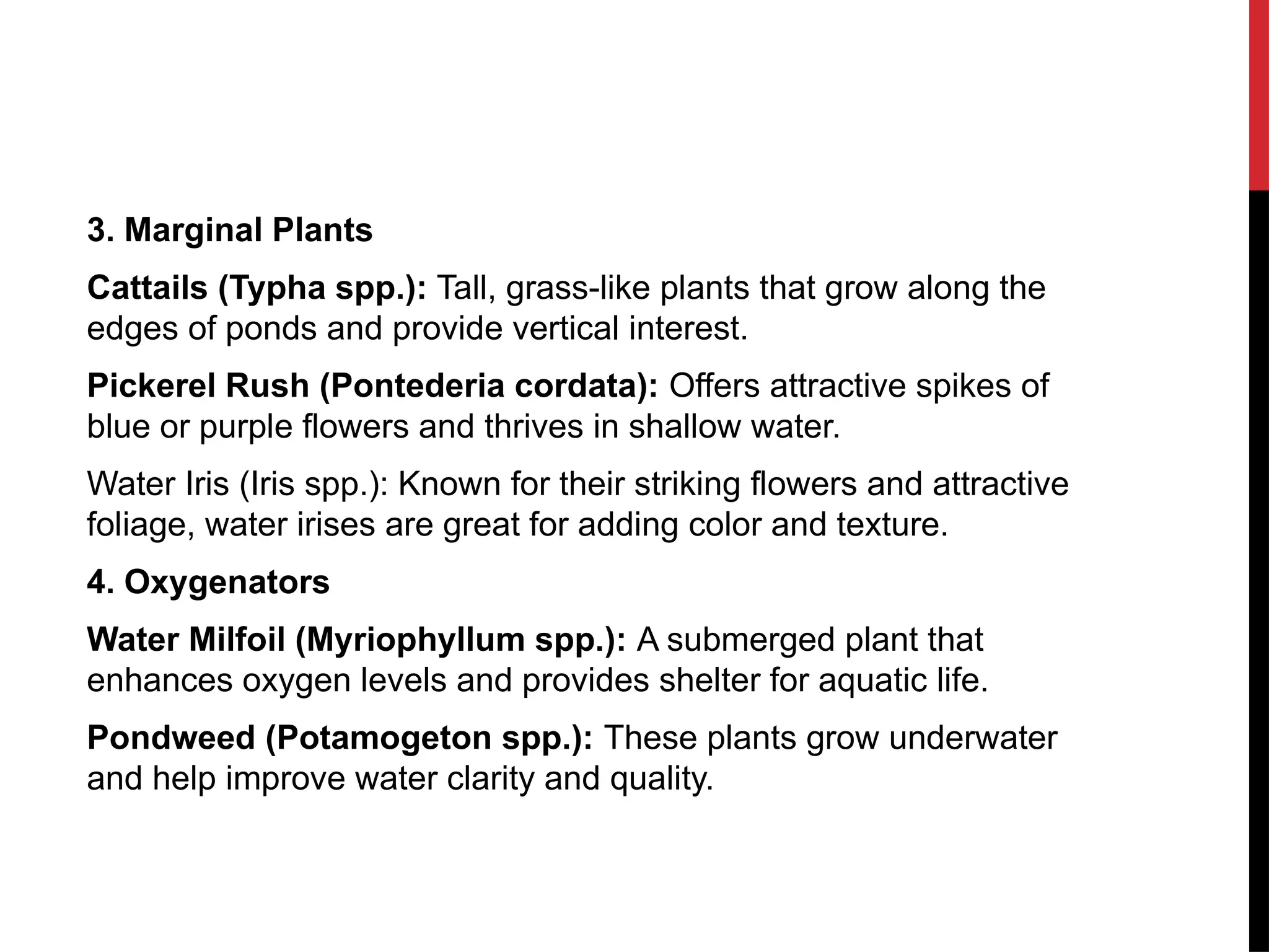 designing of water garden landscaping .pptx