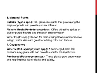 designing of water garden landscaping .pptx