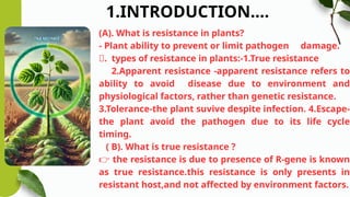 True resistance | PPT