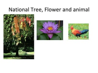 Sri lanka | PPT | Asia Travel | Travel Locations