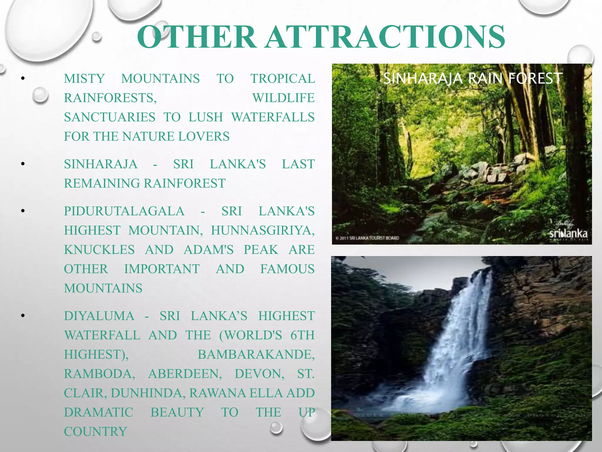 Tourism in srilanka | PPTX