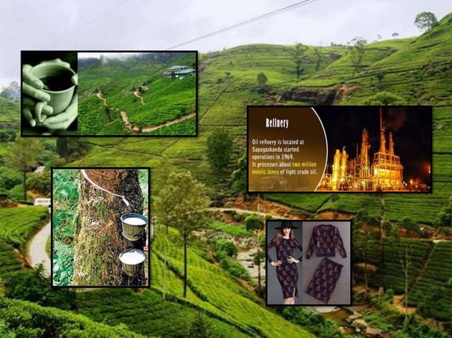 Srilanka | PPTX | Asia Travel | Travel Locations