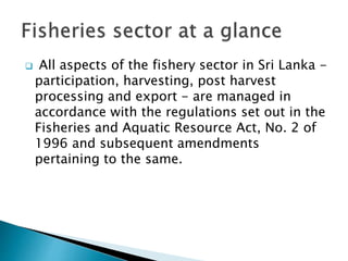 Sri lankan fisheries sector at a glance 2 | PPTX