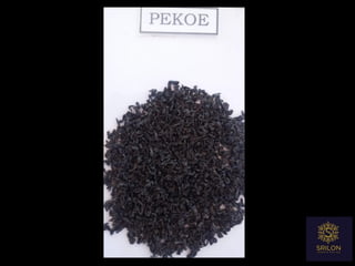 Srilon Fine Tea Presentation in Doha - Qatar | PPT