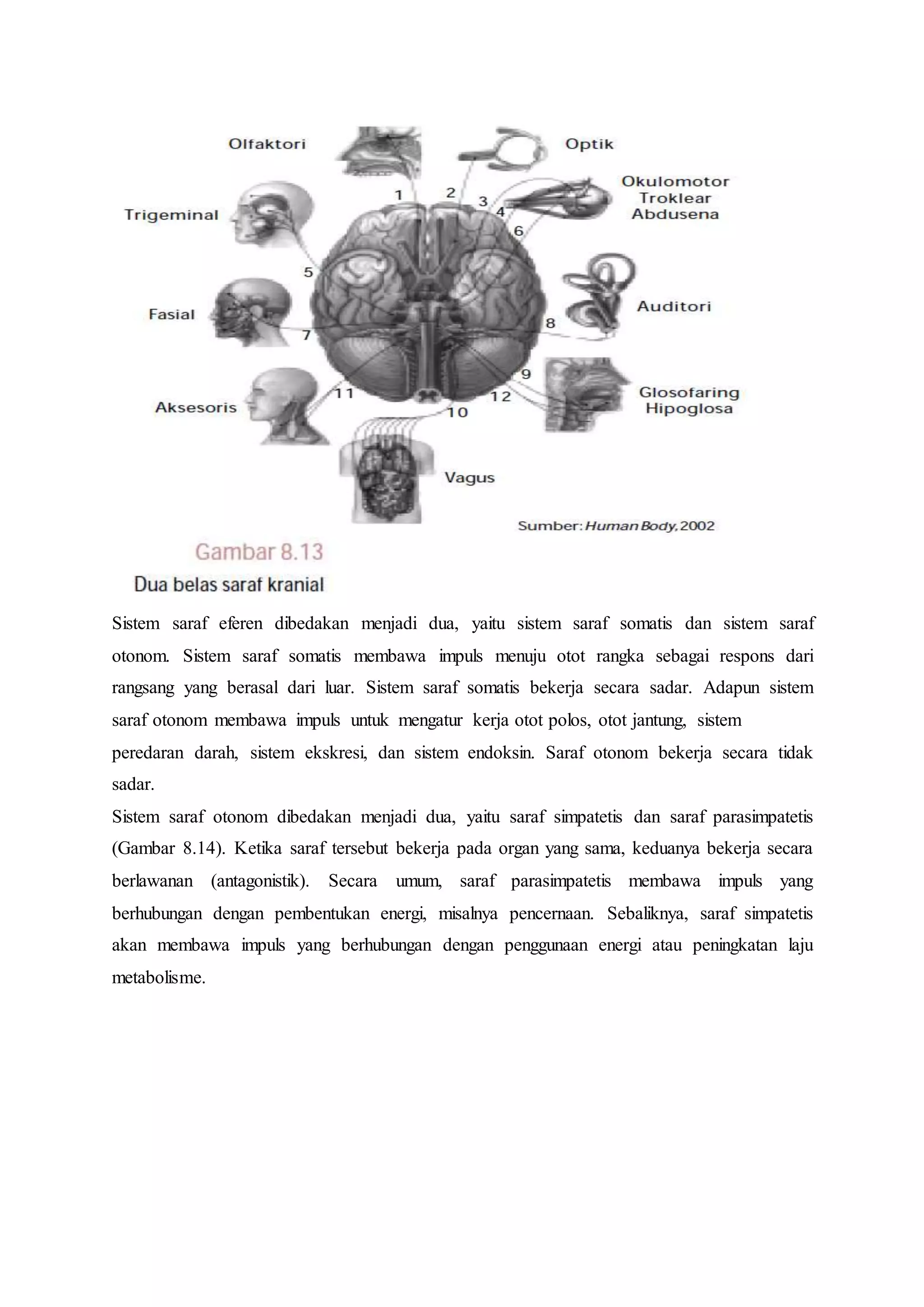 Sri manikati 4401411026 saraf | PDF