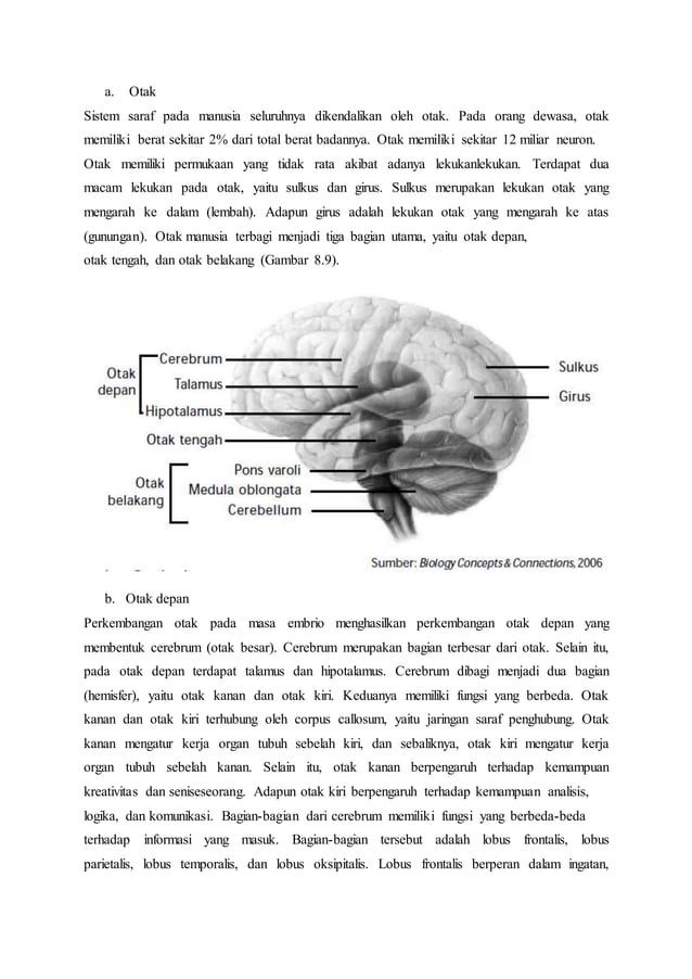 Sri manikati 4401411026 saraf | PDF