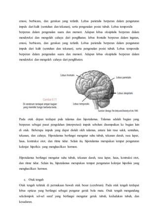 Sri manikati 4401411026 saraf | DOCX