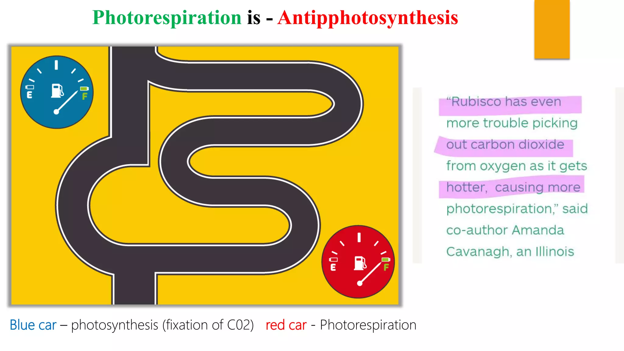 plant physiology photorespiration | PPTX