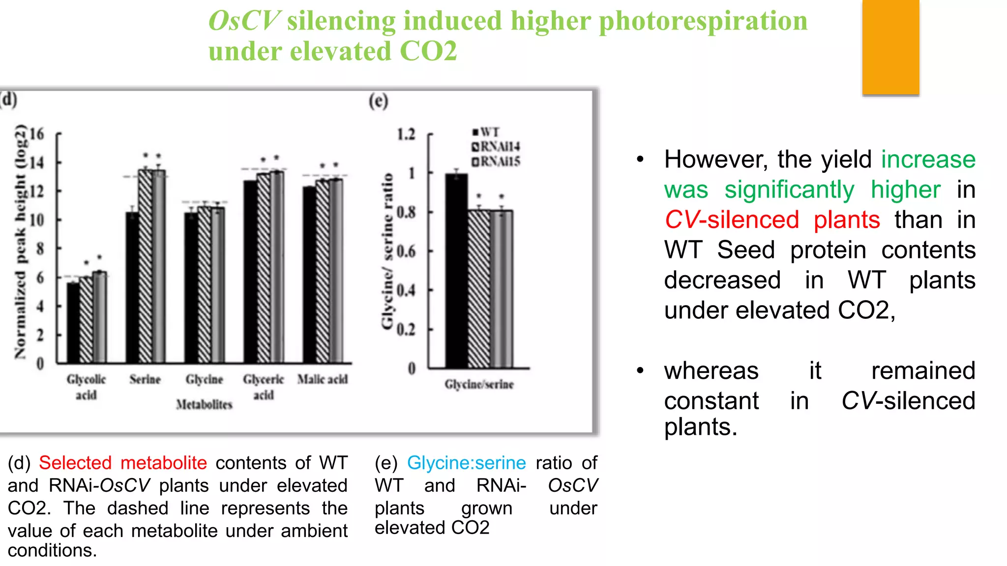 plant physiology photorespiration | PPTX