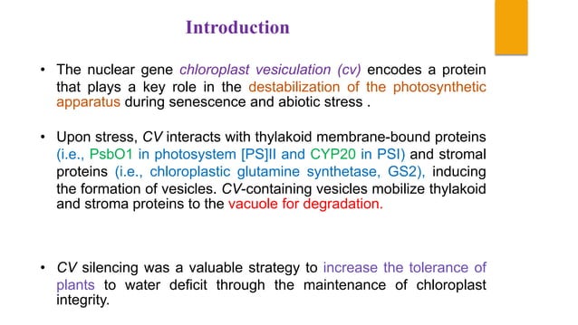 plant physiology photorespiration | PPT