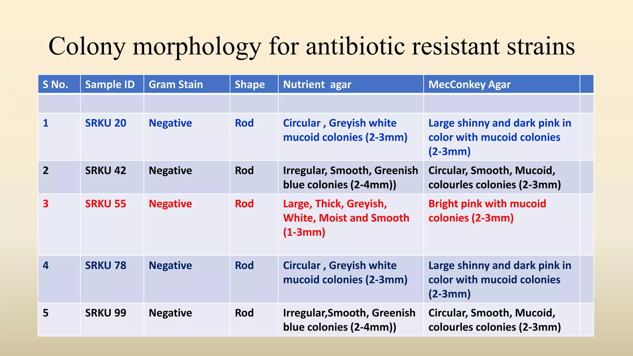 MULTIDRUG RESISTANT BACTERIA | PPTX