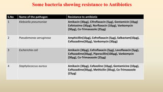 MULTIDRUG RESISTANT BACTERIA | PPTX