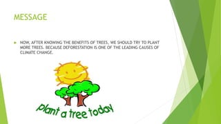 Srinivas presentation on importance of trees | PPTX