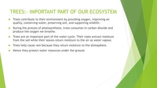 Srinivas presentation on importance of trees | PPTX