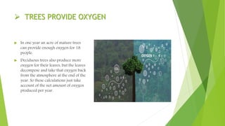 Srinivas presentation on importance of trees | PPTX