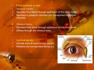 ocular drug delivery | PPT