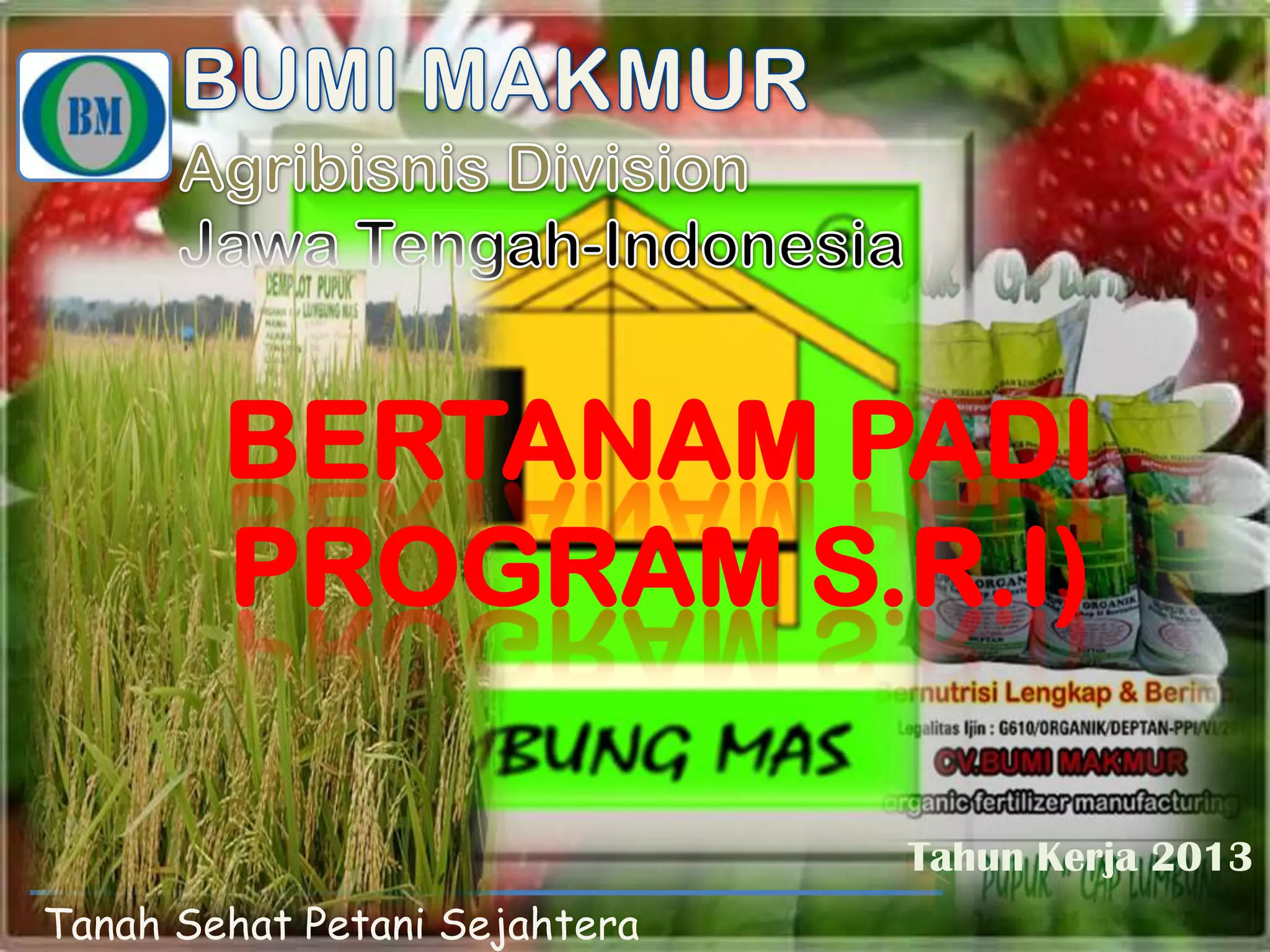 Penanaman Padi Methode S.R.I | PPTX