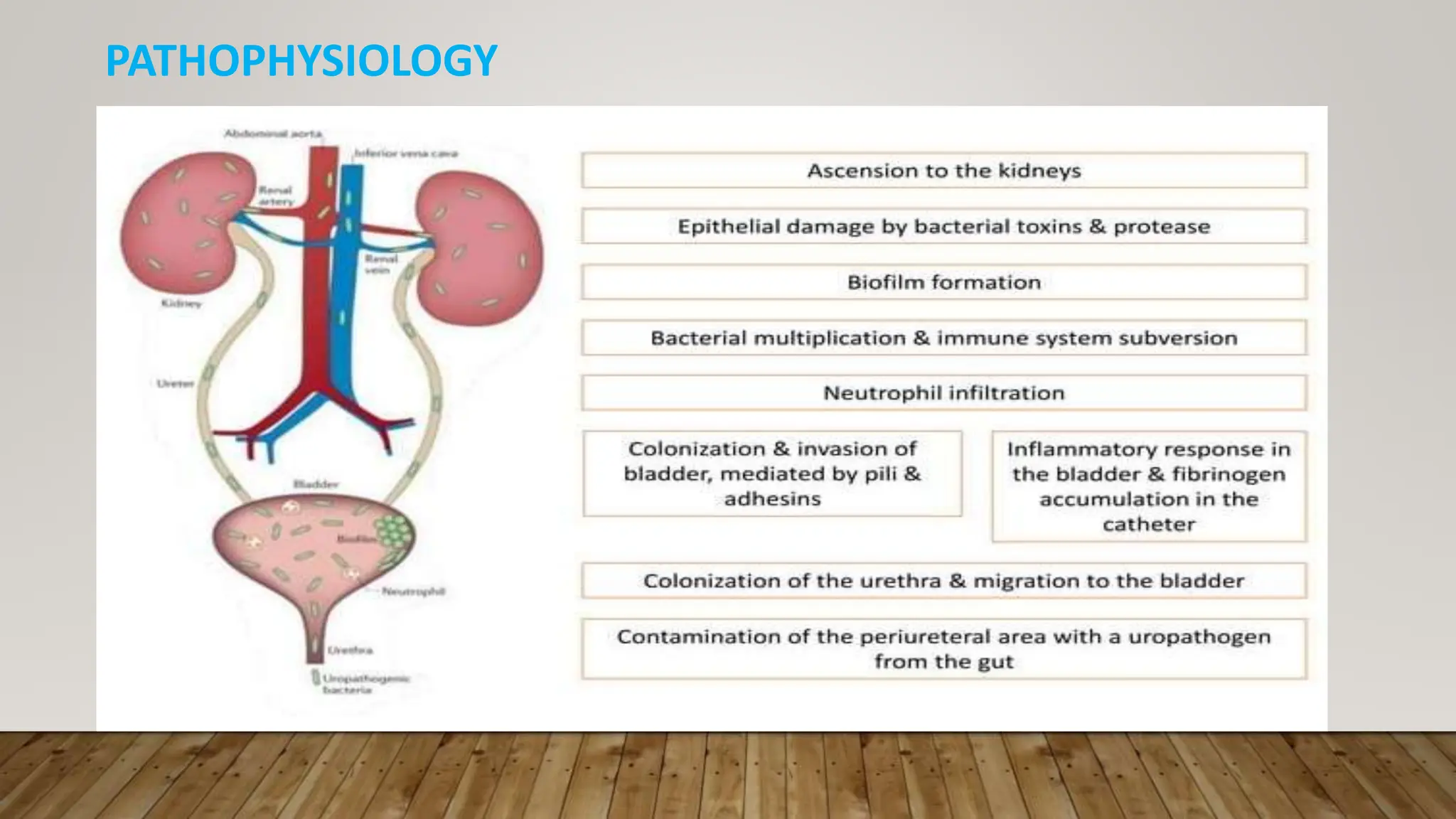 case study on urinary tract infection.pptx