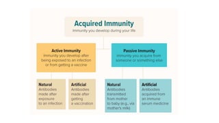 Immunity and its types | PPTX