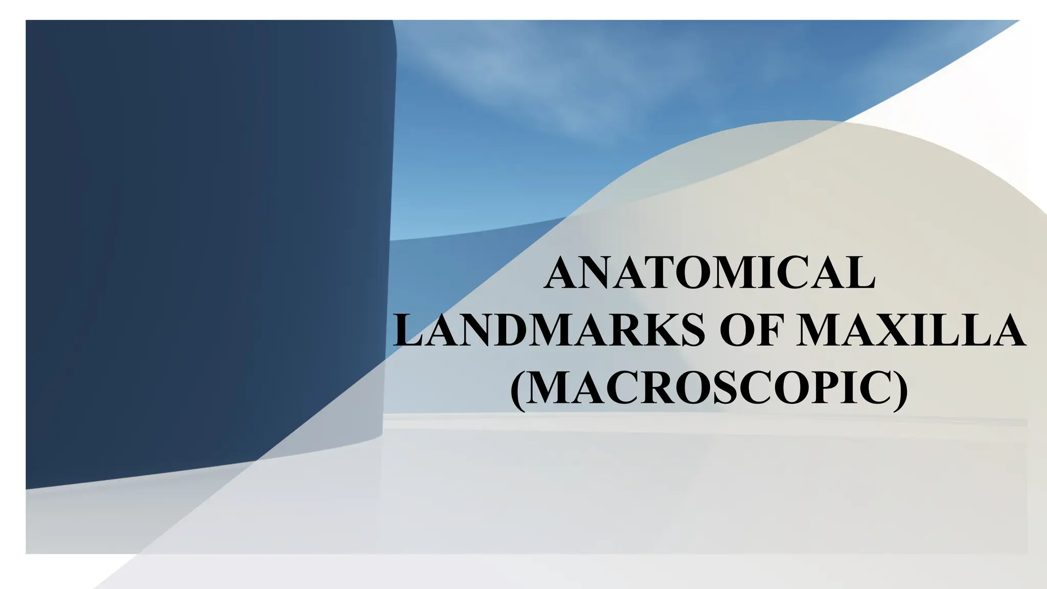 anatomic landmarks of the maxilla and mandible | PPTX | Ear, Nose and ...