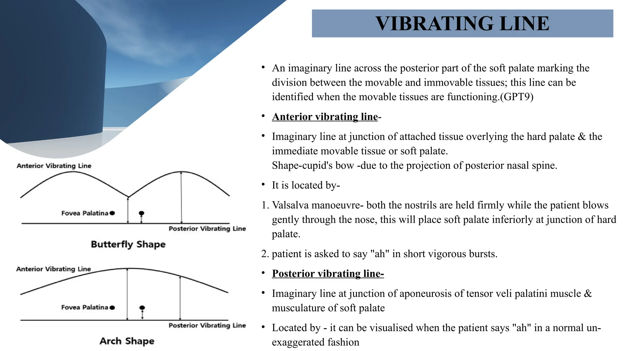 anatomic landmarks of the maxilla and mandible | PPTX