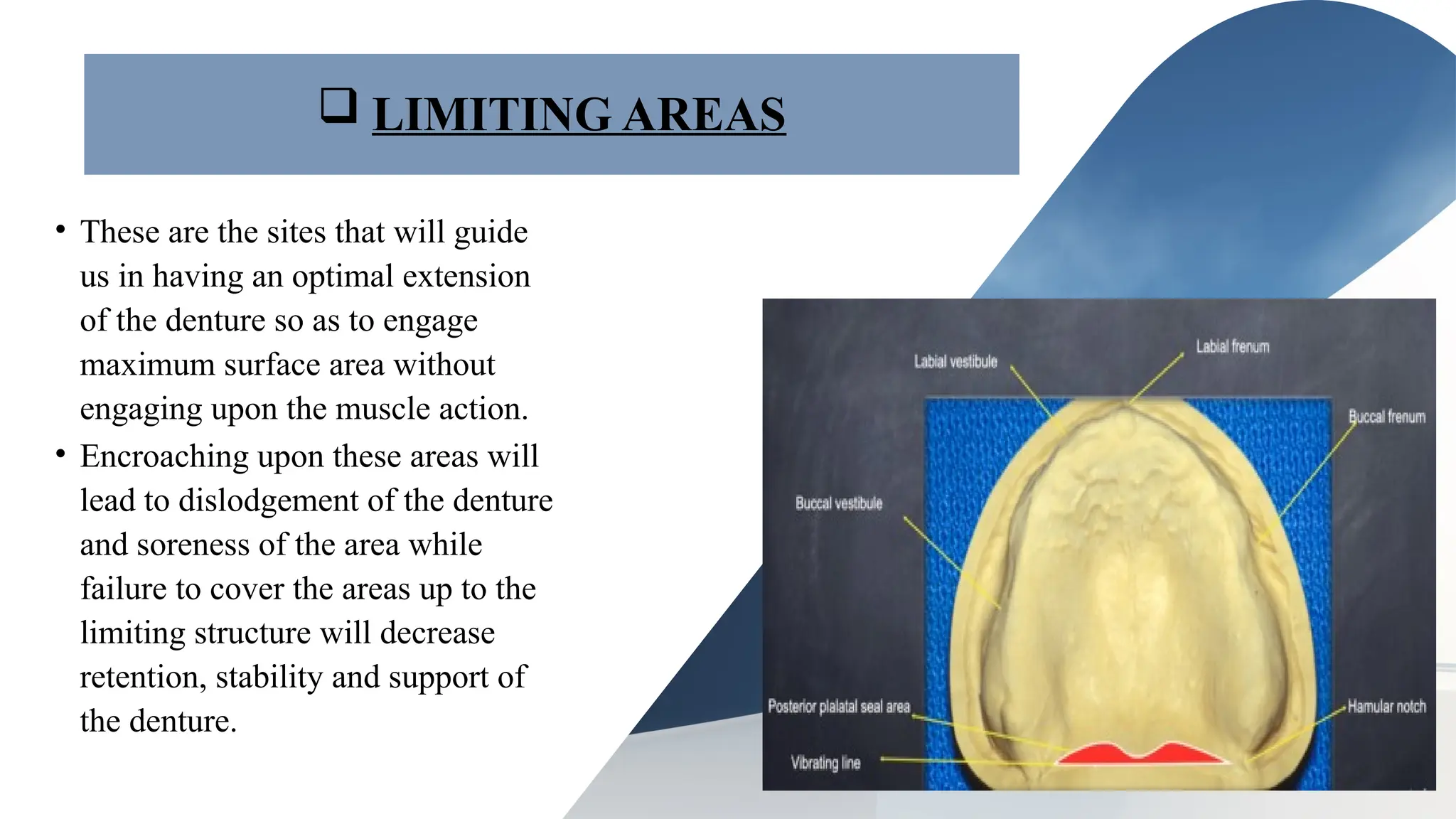 anatomic landmarks of the maxilla and mandible | PPTX | Ear, Nose and Throat Conditions ...