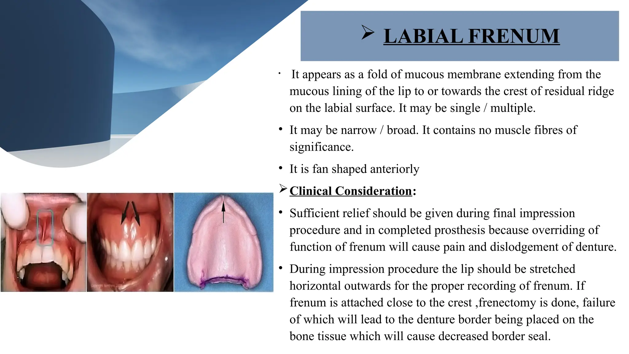 anatomic landmarks of the maxilla and mandible | PPTX
