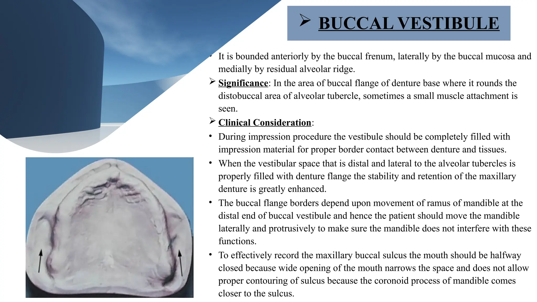 anatomic landmarks of the maxilla and mandible | PPTX