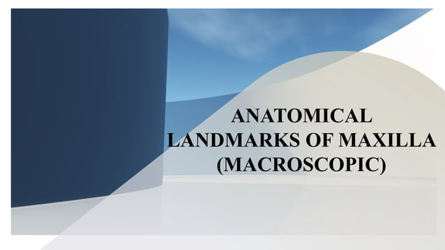 anatomic landmarks of the maxilla and mandible | PPT