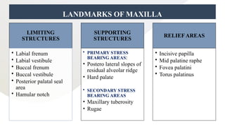 anatomic landmarks of the maxilla and mandible | PPTX | Ear, Nose and ...